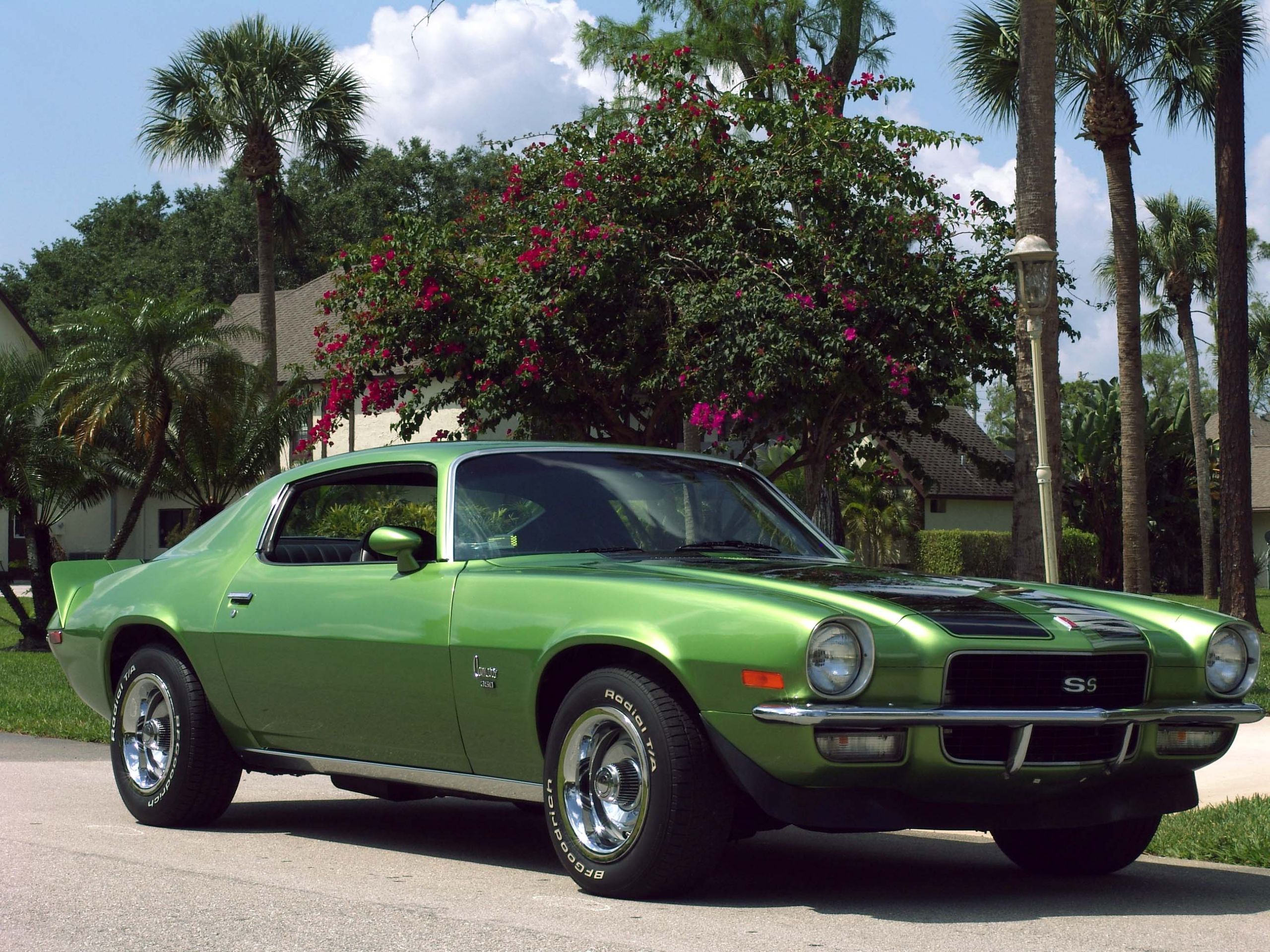 Tracing the Legacy of the Chevrolet Camaro | Check VIN to own | ClearVin